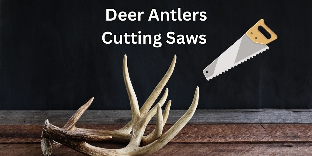 How To Cut Deer Antlers? 5 Best Saws For Cutting Antlers