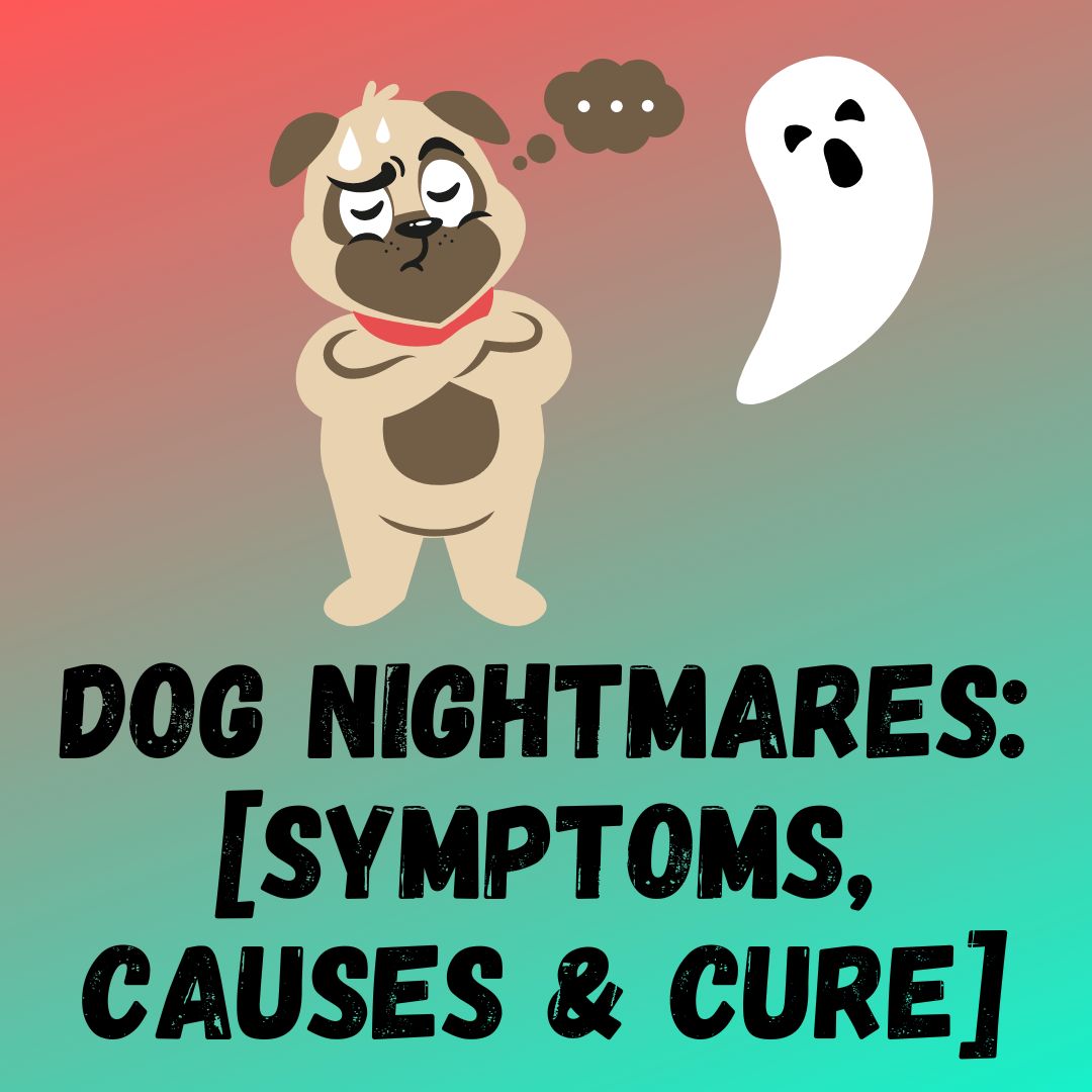 Dog Nightmares: [Symptoms, Causes And Ways Stop Them]