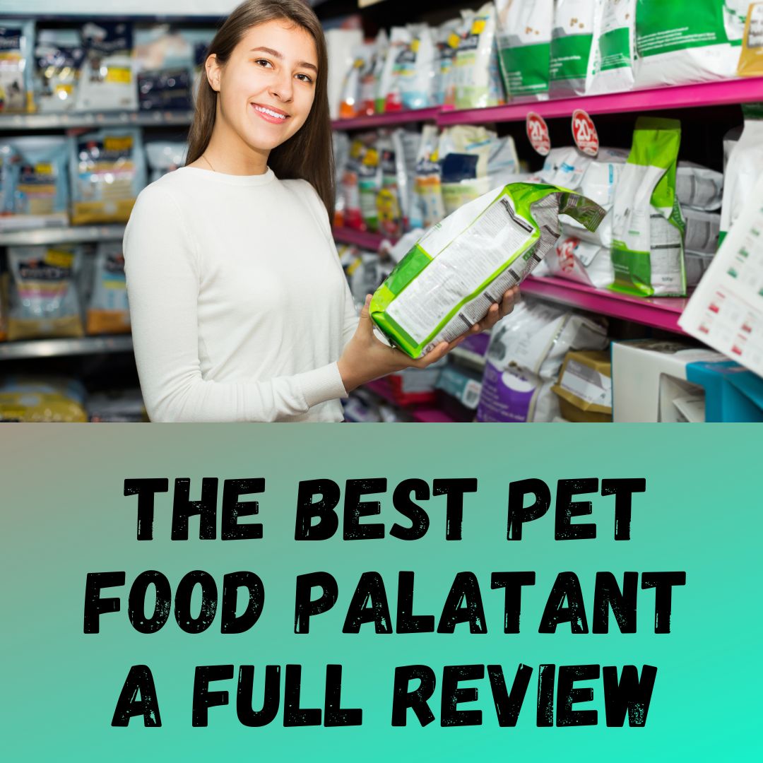 What Is The Best Pet Food Palatant?