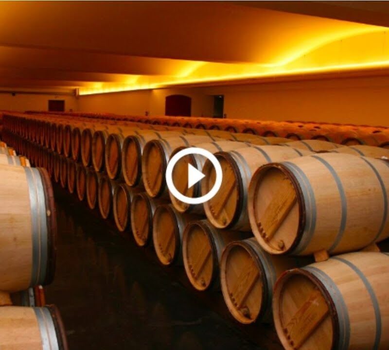 L'art de l'élevage en fût de chêne pour vins - La Passion des Vins