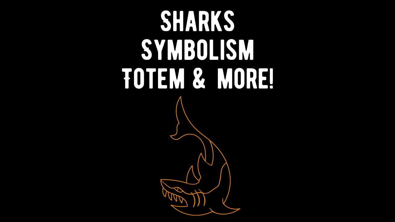 Sharks Symbolism: Mythology, Folklore, Totem and Spirit Animal - Shark ...