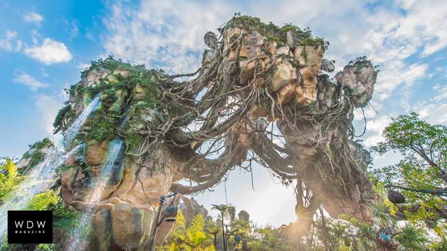 Free Disney World Zoom Backgrounds - WDW Magazine