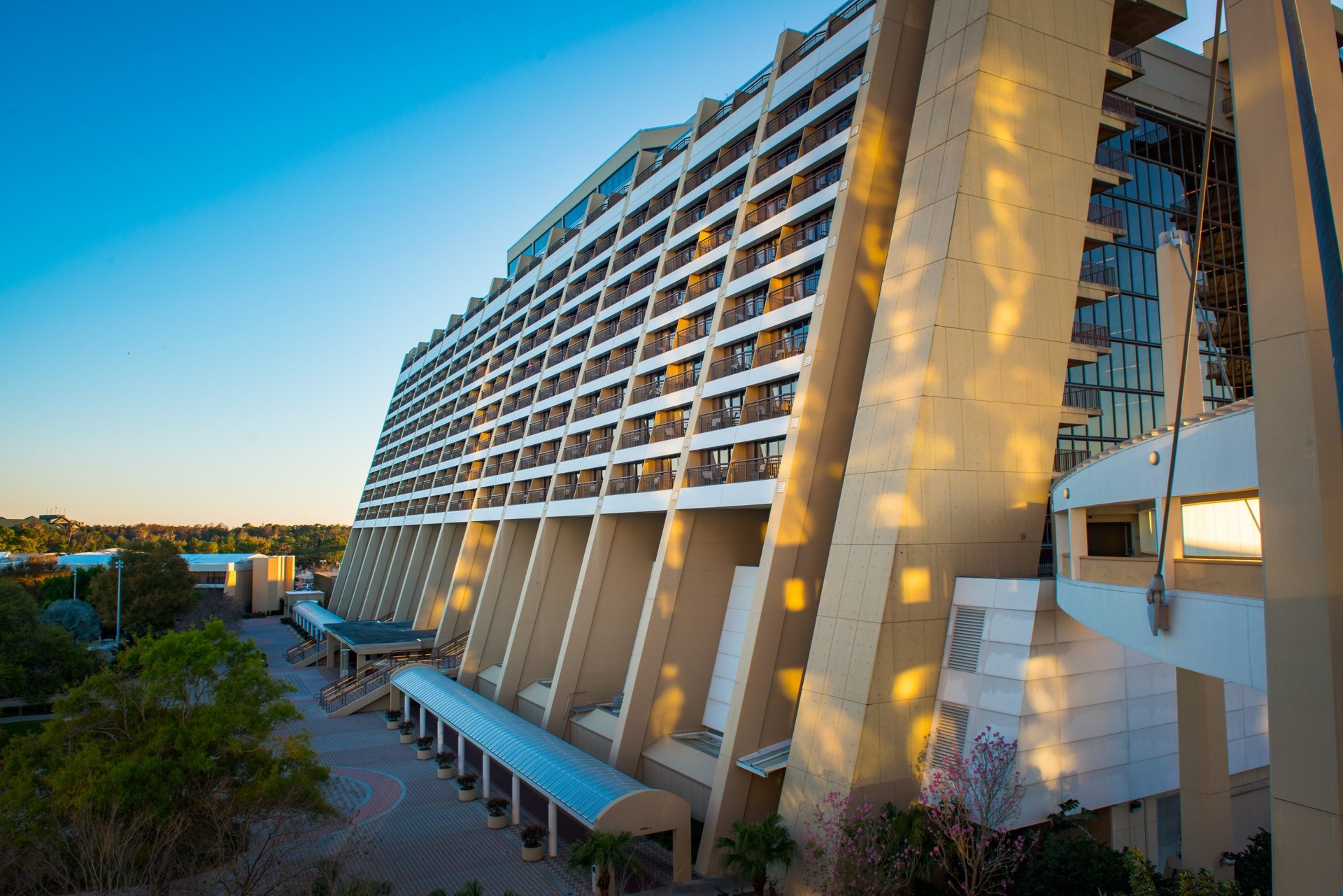 Disney's Contemporary Resort Restaurants: A Complete Guide