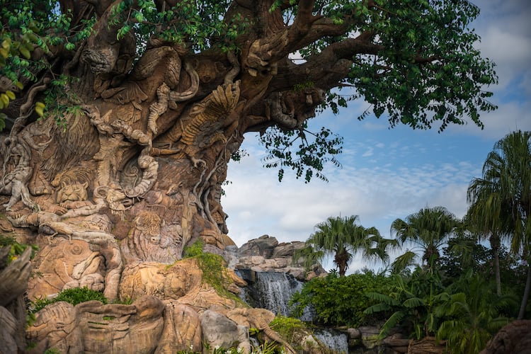 Tree of Life: Fun Facts About Disney's Animal Kingdom Park Icon - WDW ...