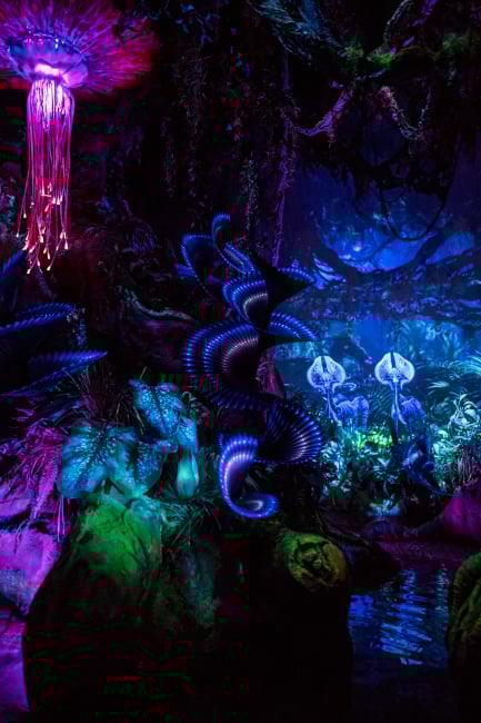 Passage Through Pandora: 4 Na’vi River Journey Facts - WDW Magazine