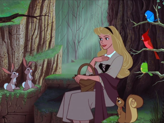 A Complete List of Official Disney Princesses - WDW Magazine