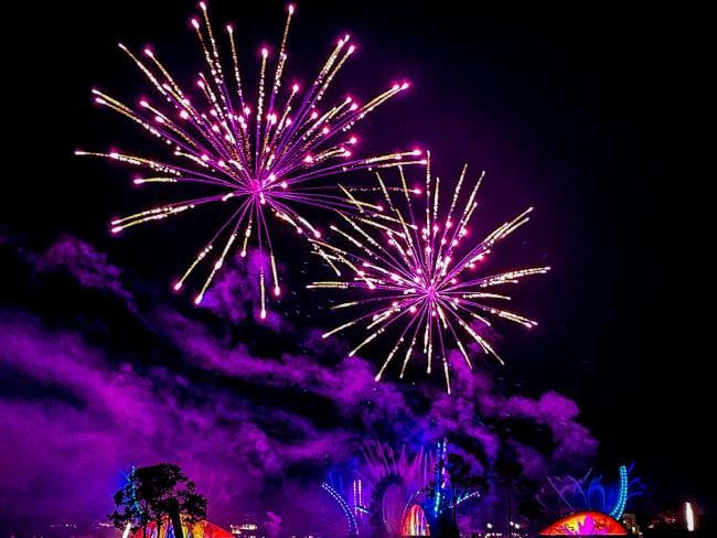 REVIEW: Spice Road Table Fireworks Dining Package at EPCOT