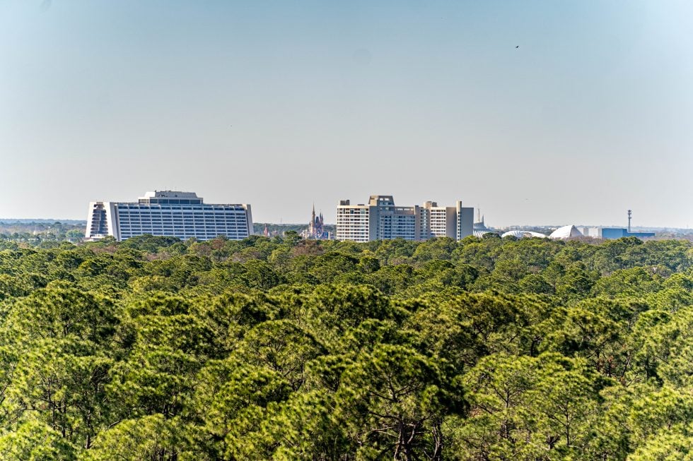 Four Seasons Resort Orlando at Walt Disney World Resort: A Complete Guide