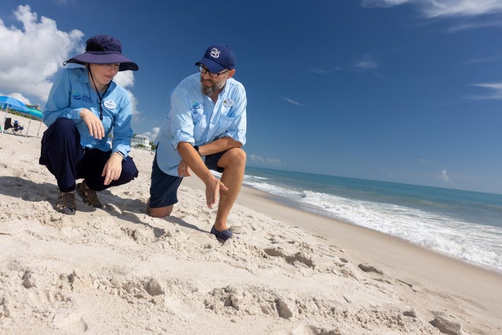 Disney Conservation Fund: An Overview and the Latest Updates - WDW Magazine