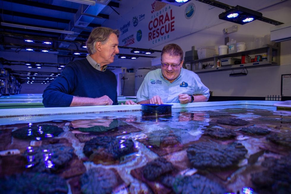 Disney Conservation Fund: An Overview and the Latest Updates - WDW Magazine