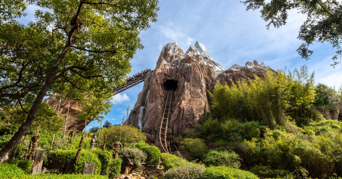 Best Rides at Animal Kingdom: Ranking the Top Rides at Disney World ...