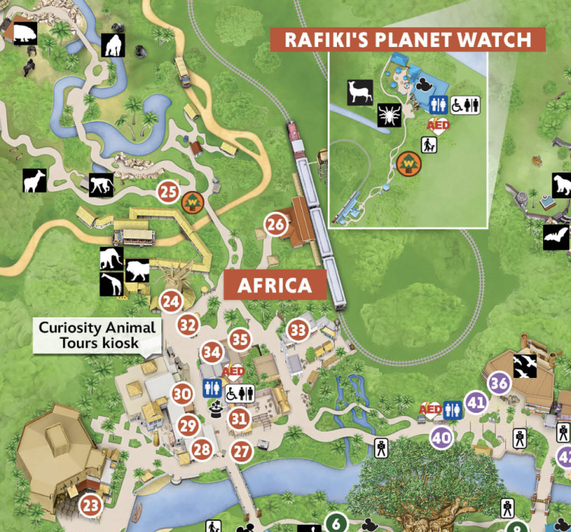 2025 Animal Kingdom Map – Walt Disney World – WDW Magazine ...