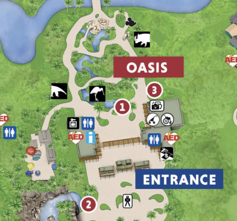 2025 Animal Kingdom Map – Walt Disney World - WDW Magazine