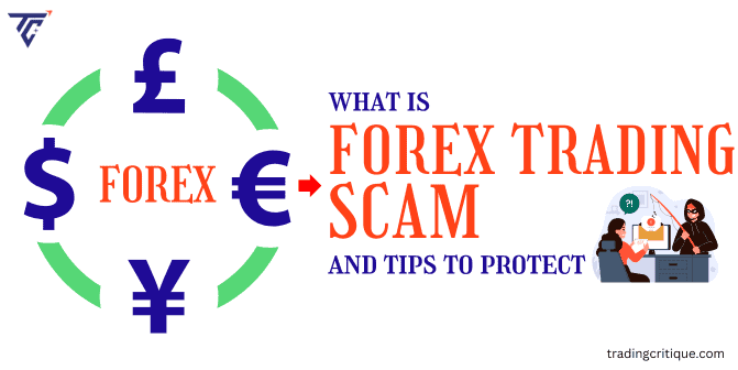 Forex Scam: How to Identify? Tips to Protect from Scammers.