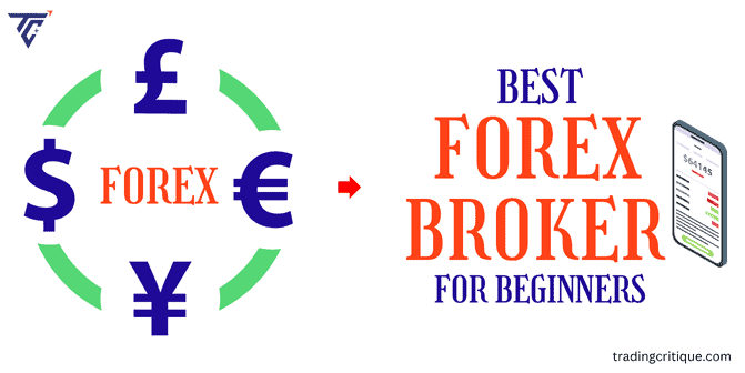 How to Find the Best Forex Brokers in USA for Beginners (2025 Guide)
