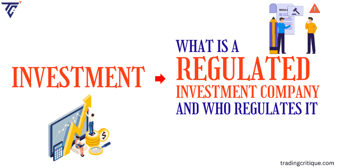 What is a Regulated Investment Company and who regulates it?