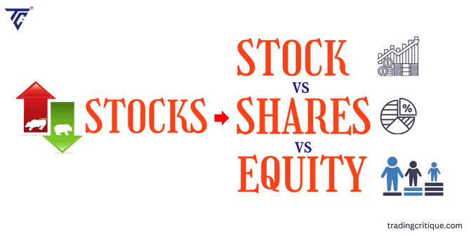 What Is the Main Difference Between Stocks, Shares, and Equity?