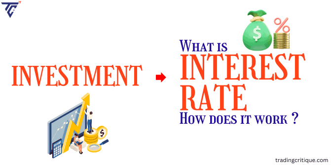 What is Interest, Different Types and How Does Interest Work?